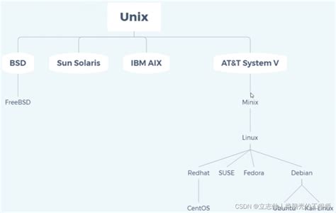 【基础期】linux系统结构linux分支 Csdn博客