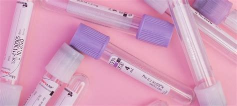 Importance Of Packaging In The Cold Chain Process Four Winds Saudi Arabia