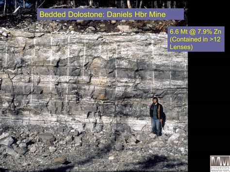Sediment Hosted Depositspdf