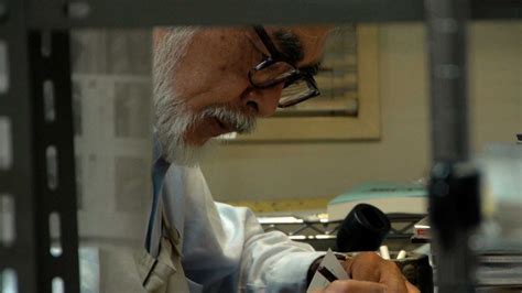 Hayao Miyazaki Feels That The Golden Age Of Anime Is Over — Geektyrant