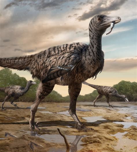 Gigantic Jurassic Raptor Footprints Unearthed Faculty Of Science