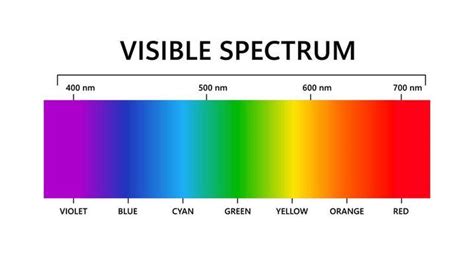 Electromagnetic Spectrum Vector Art Icons And Graphics For Free Download