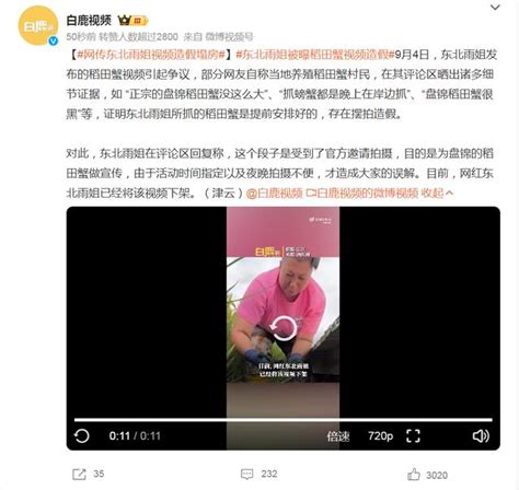 网红东北雨姐被曝稻田蟹视频造假本人回应 极目新闻