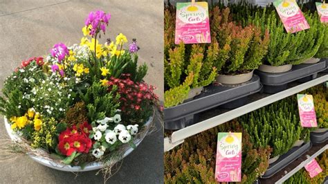 Neuheit Spring Girls Erweitern Die Gardengirls® Familie Gabotde