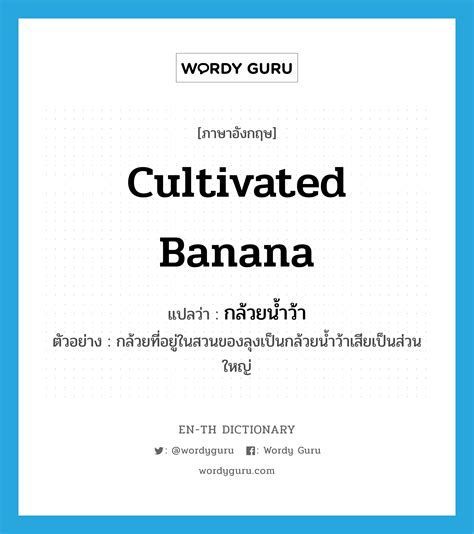 กล้วยน้ำว้า N Wordy Guru