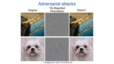 Response Geometry Explains Adversarial Robustness Home