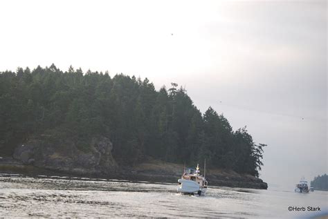 And Willie Said Day 91 Ladysmith Maritime Society Marina On