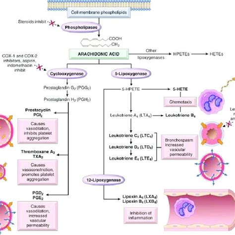 Classification Of Nsaids Download Scientific Diagram