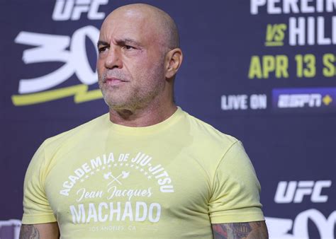 Joe Rogan Trump Interview Ratings Chart Shows Subscriber Spike Newsweek