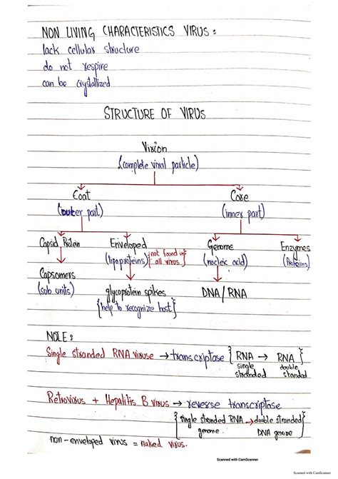 Solution A Cellular Life Mcat Biological Best Lesson And Examples