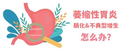 28岁查出萎缩性胃炎，伴肠化、腺体萎缩及上皮内瘤变，真的很担忧！（附胃部癌变的全过程及注意事项） 知乎
