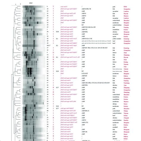 Eric Pcr Molecular Fingerprint Profiles Of Klebsiella Pneumoniae
