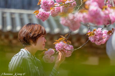 일반 겔러리 SajinLove 꽃보다 아름다운 여인들