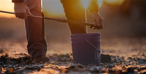 Molybdenum Crop Nutrients Mosaic Crop Nutrition