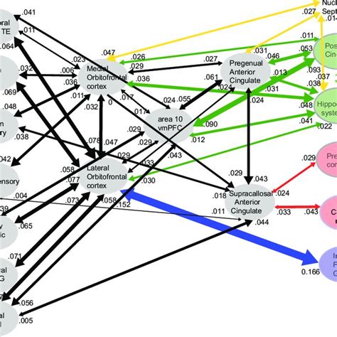 8 Effective Connectivity To The Orbitofrontal Cortex Ofc And Anterior