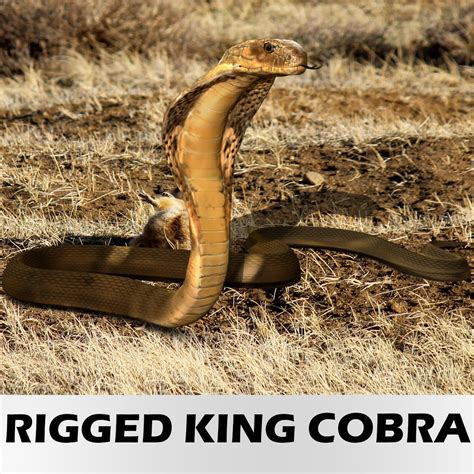 콜트 킹 코브라 3d 모델 99 C4d Fbx Dae Obj Free3d