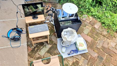 My Experience At The British Ecological Society Undergraduate Summer School By Francisca