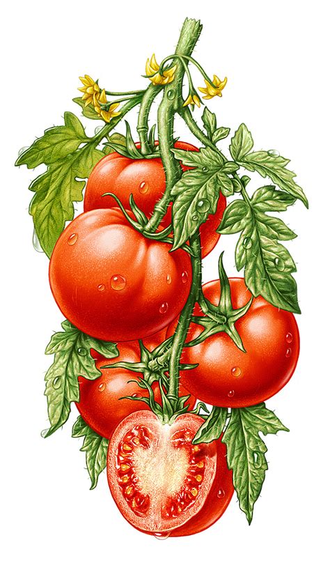 6 Fruits Vegetables Artofit