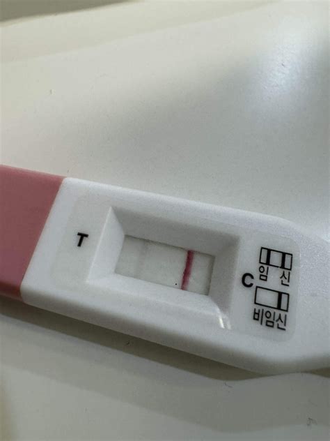 블라인드 육아 임신테스트기 두줄 한줄
