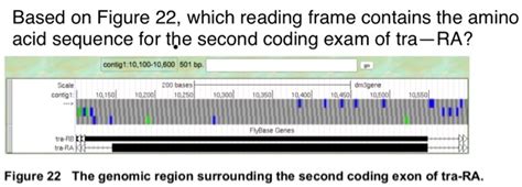 Solved Based On The Screenshot Shown In Figure 22 Which Reading Frame