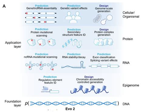 Drugdiscovery Genomics Ai Evo2 Personalizedmedicine Openscience… Thai Yap
