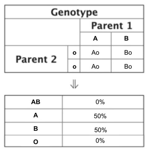 Blood Type Punnett Square