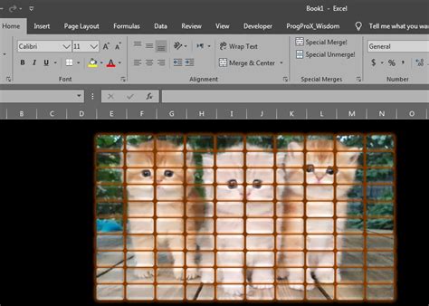 Morteza Rahmani On Linkedin Progprox Ppx Microsoft Excel Splitimg