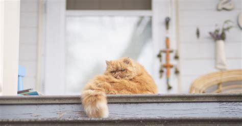 Step By Step Debugging Your First Solidity Contract