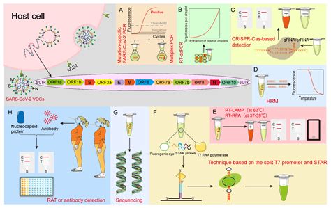 An Update On Detection Technologies For Sars Cov 2 Variants Of Concern