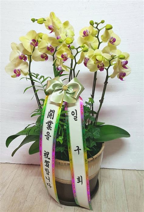 제천꽃집일구화원오래가는포춘제천꽃배달 네이버 블로그