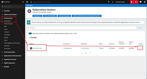 Dynatrace K S Cloud Native Operator Install Walk Through