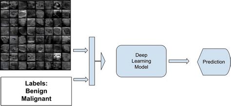 Artificial Intelligence For Evaluation Of Thyroid Nodules A Primer Thyroid®