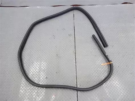 Hule Sello Puerta Trasera Derecha Ford Focus Hb Meses Sin