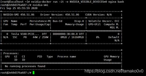 从头开始安装nvidia Dockernvidia Docker2noarch Csdn博客