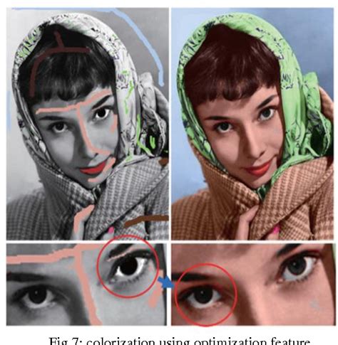 Figure 7 From A Real Time Video Colorization Method With Gabor Feature