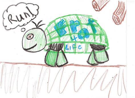 Grinning Turtle By Zona Kol On Deviantart