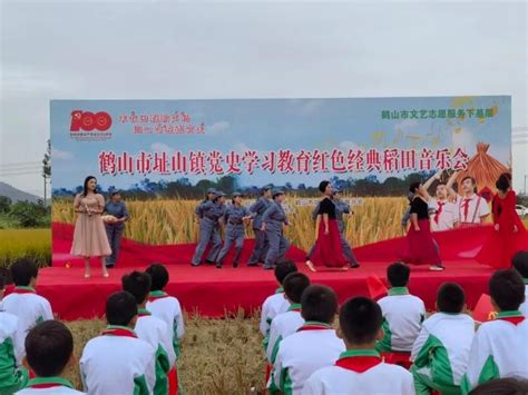 厉害！一场稻田上的音乐盛宴！就在鹤山这地方！澎湃号·政务澎湃新闻 The Paper
