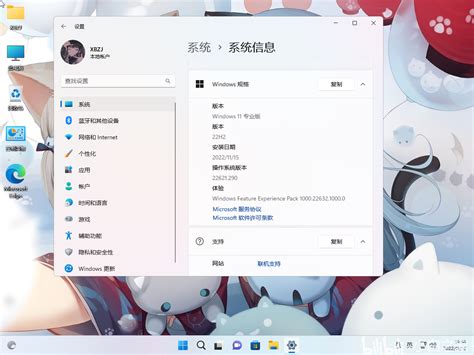 QEMU Windows 11 Pro 22H2 X64 2022 11 16 哔哩哔哩