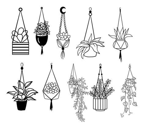 Hand Drawn Hanging House Plants Black Silhouettes Of Different Plants