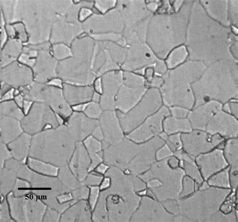 Microstructure Of The Base Material Download Scientific Diagram