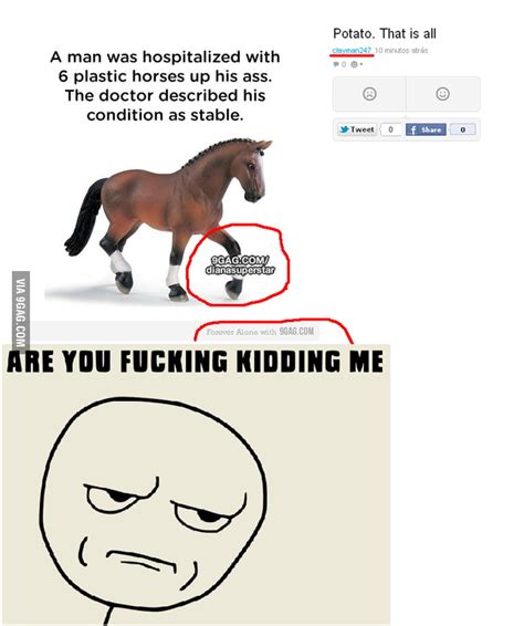 Taking Reposts To Another Level Of Stupidity Gag