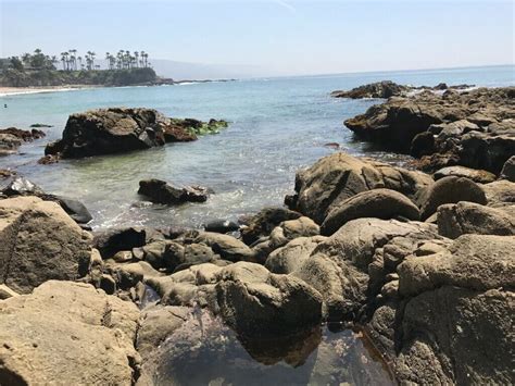 2025 Tide Chart Laguna Beach The 8 Best Tide Pools To Explore In Laguna