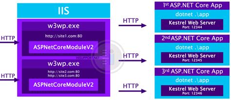 مقایسه Kestrel و Iis در Aspnetcore Hisupport