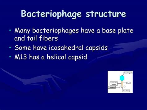 Ppt Recombination Bacteriophages And Horizontal Gene Transfer