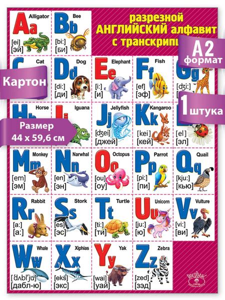 Вопросы и ответы о Плакат английский алфавит с транскрипцией для школы