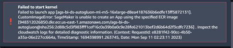 Cannot Launch Instance Kernel With Custom Sagemaker Image Aws Repost