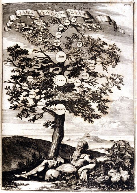 Genealogical Tree Of Noah After Athanasius Kircher Turris Babel Roma 1675