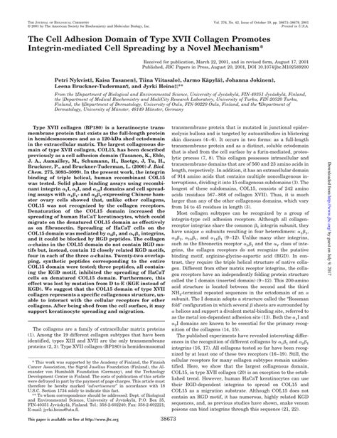Pdf The Cell Adhesion Domain Of Type Xvii Collagen Promotes Integrin