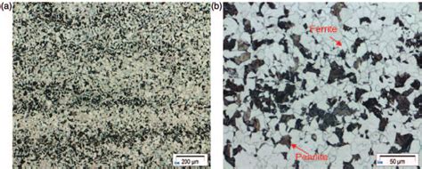 Microstructure Of Steel S355j2 þ N After Hno 3 Etching Two