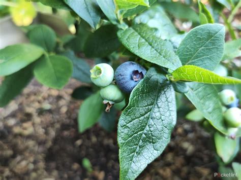 Poco F Gt Review Blurring The Lines